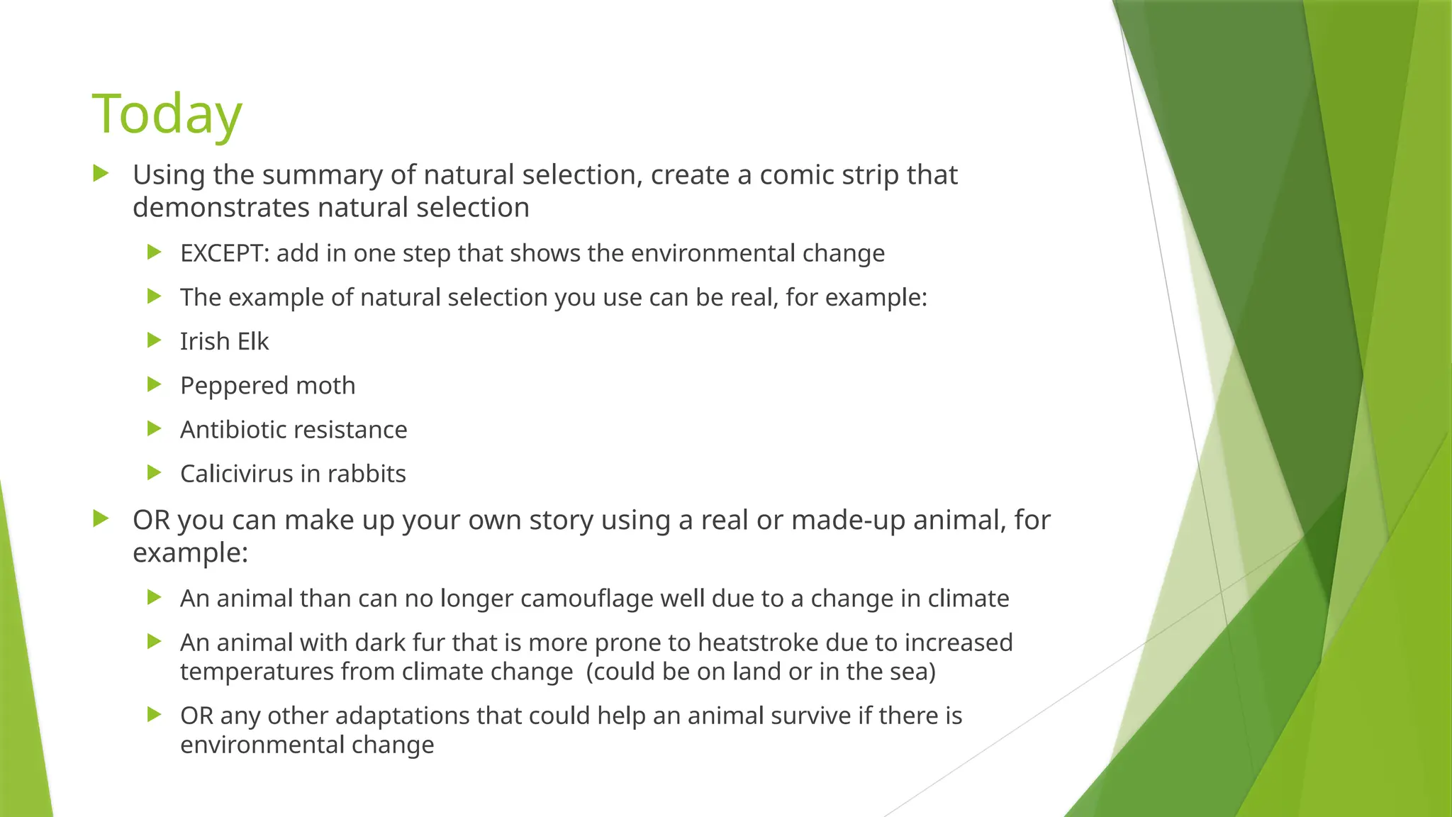 Lesson 8 - Natural Selection 3 in detail.pptx