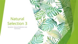 Lesson 8 - Natural Selection 3 in detail.pptx