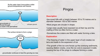Lesson 8 periglacial processes and their landscapes and landforms | PPTX