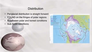 Lesson 8 periglacial processes and their landscapes and landforms | PPTX