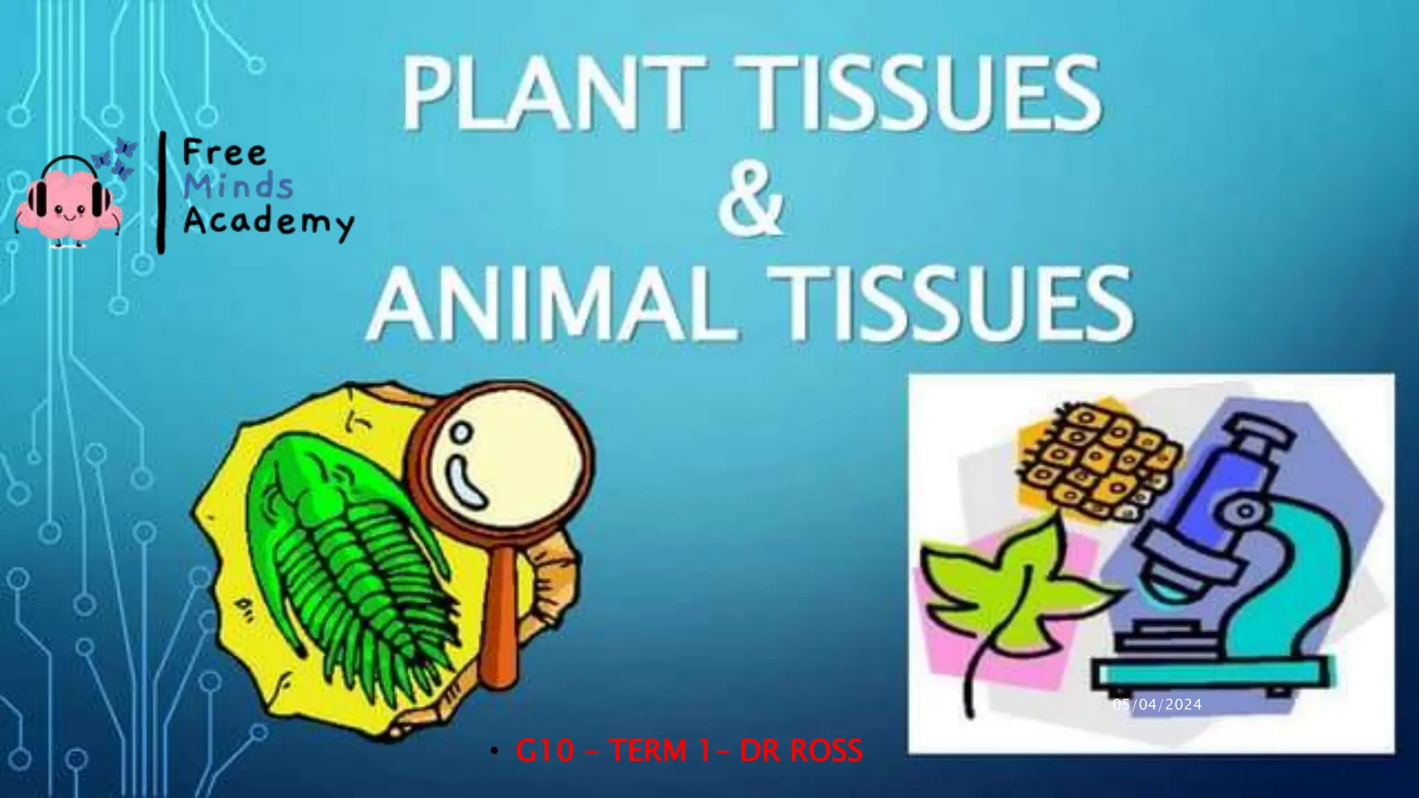 Lesson 8 - Plant and Animal Tissues.pptx
