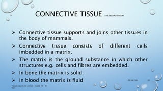 Lesson 8 - Plant and Animal Tissues.pptx