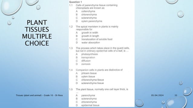 Lesson 8 - Plant and Animal Tissues.pptx | Biological Sciences | Science
