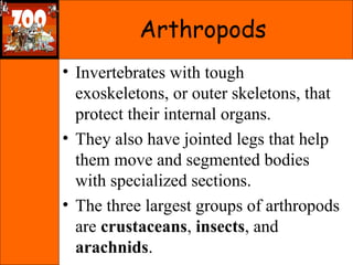 Lesson 8 &9_Vertebrates and Invertebrates.ppt
