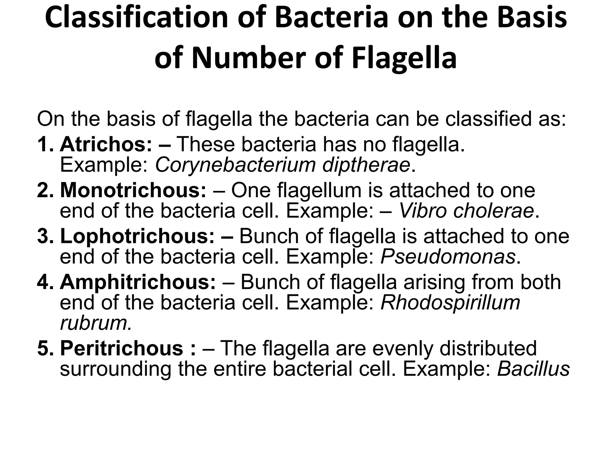 LESSON 8A - Basic Classification of Bacteria.pptx