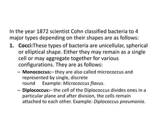 LESSON 8A - Basic Classification of Bacteria.pptx | Infectious Diseases ...