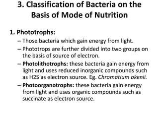 LESSON 8A - Basic Classification of Bacteria.pptx