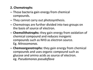 LESSON 8A - Basic Classification of Bacteria.pptx