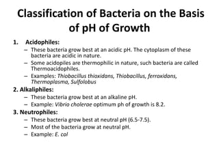 LESSON 8A - Basic Classification of Bacteria.pptx