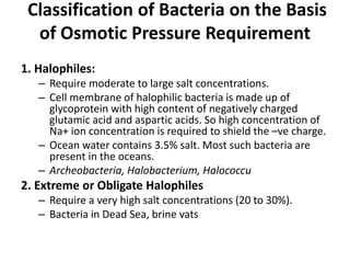LESSON 8A - Basic Classification of Bacteria.pptx