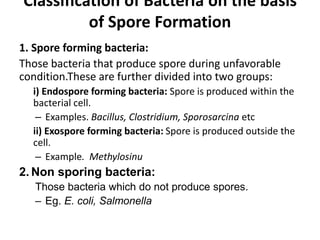 LESSON 8A - Basic Classification of Bacteria.pptx | Infectious Diseases ...