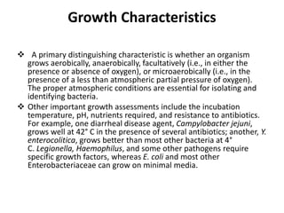 LESSON 8A - Basic Classification of Bacteria.pptx