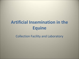 Lesson 8 artificial insemination in the equine | PPT