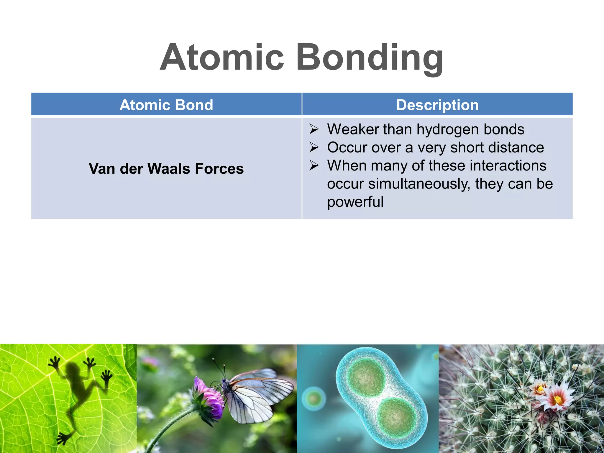 Lesson 8 Introduction to Biological Molecules | PDF