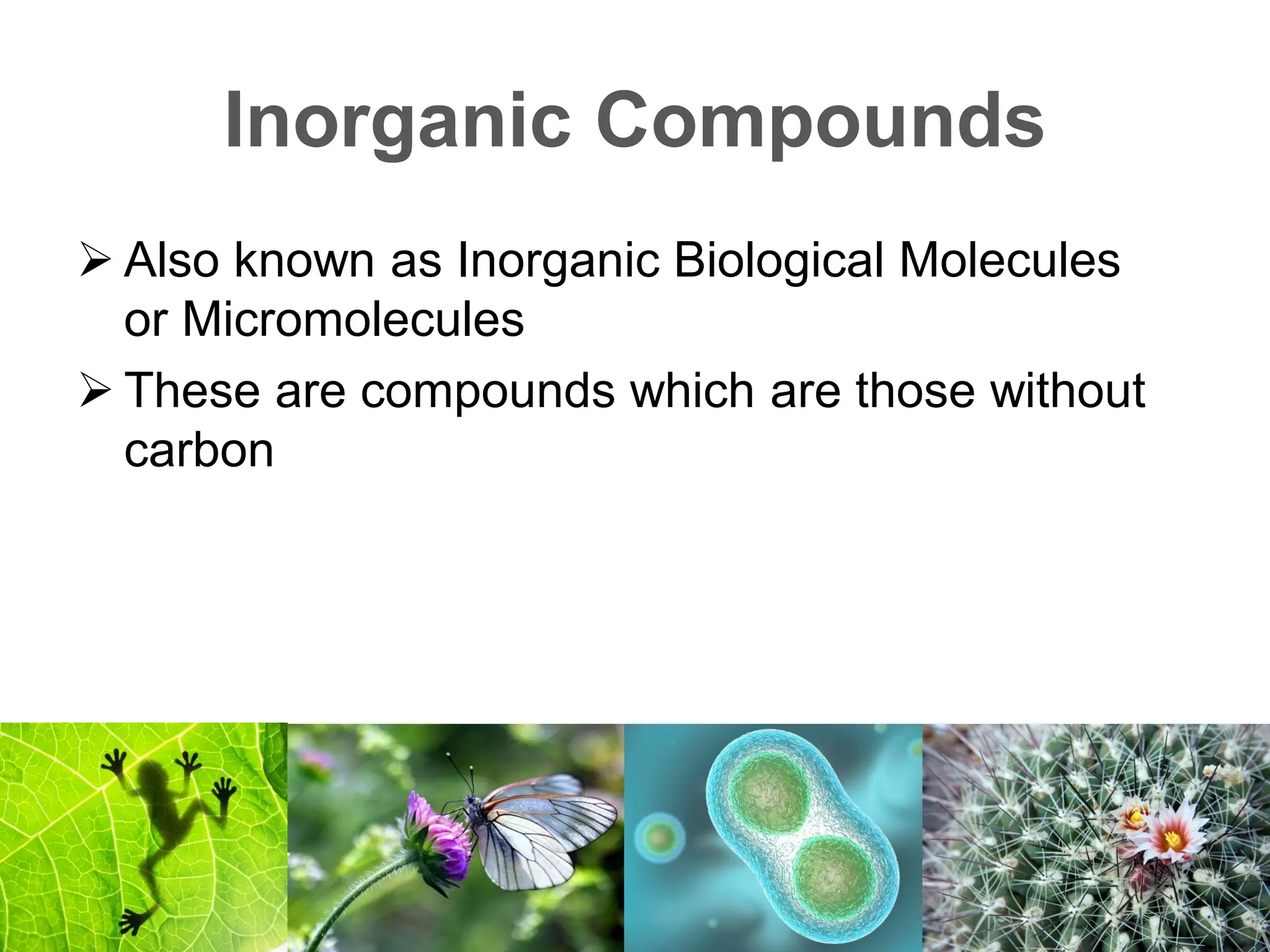 Lesson 8 Introduction to Biological Molecules | PDF