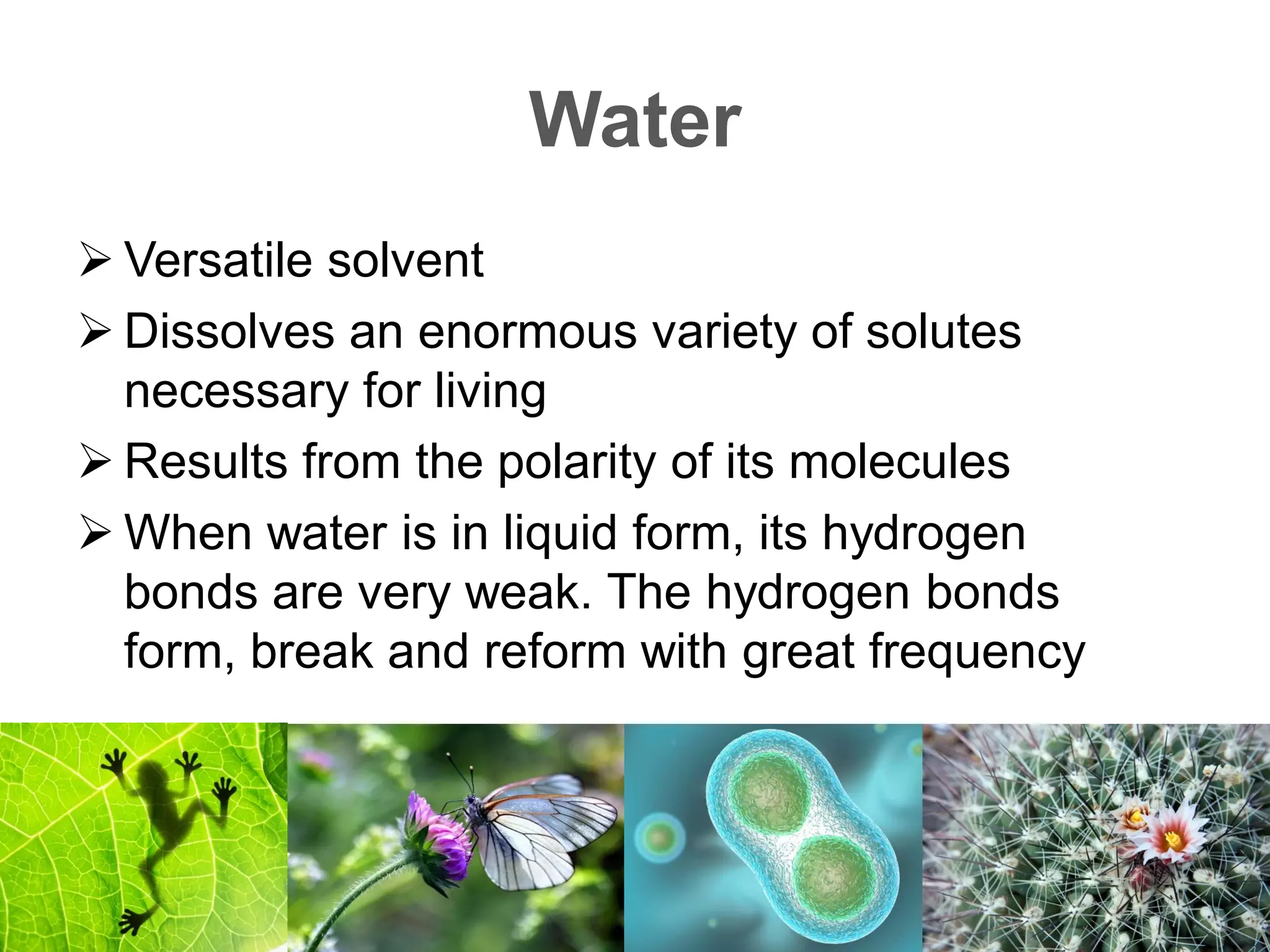 Lesson 8 Introduction to Biological Molecules | PDF