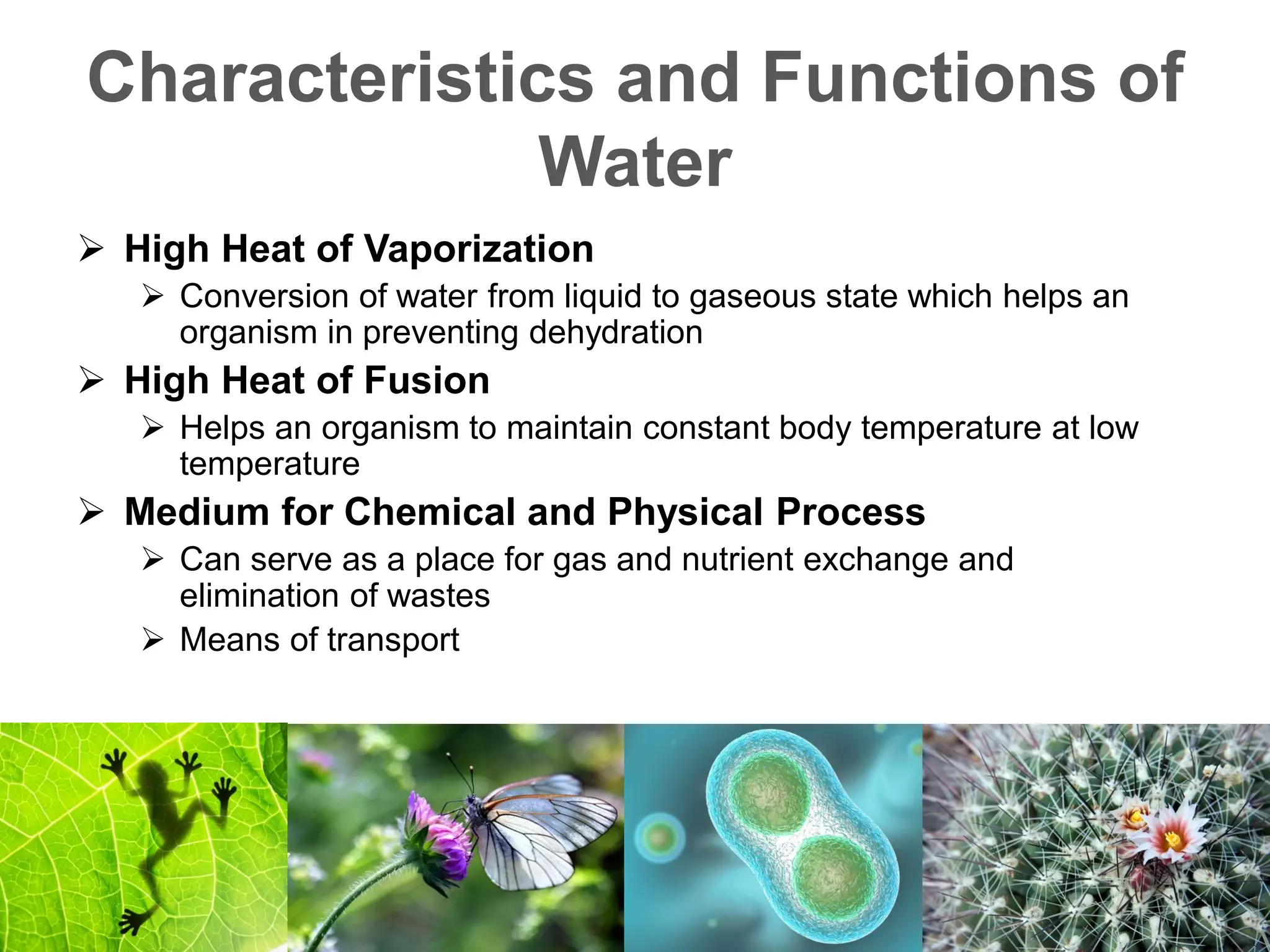 Lesson 8 Introduction to Biological Molecules | PDF