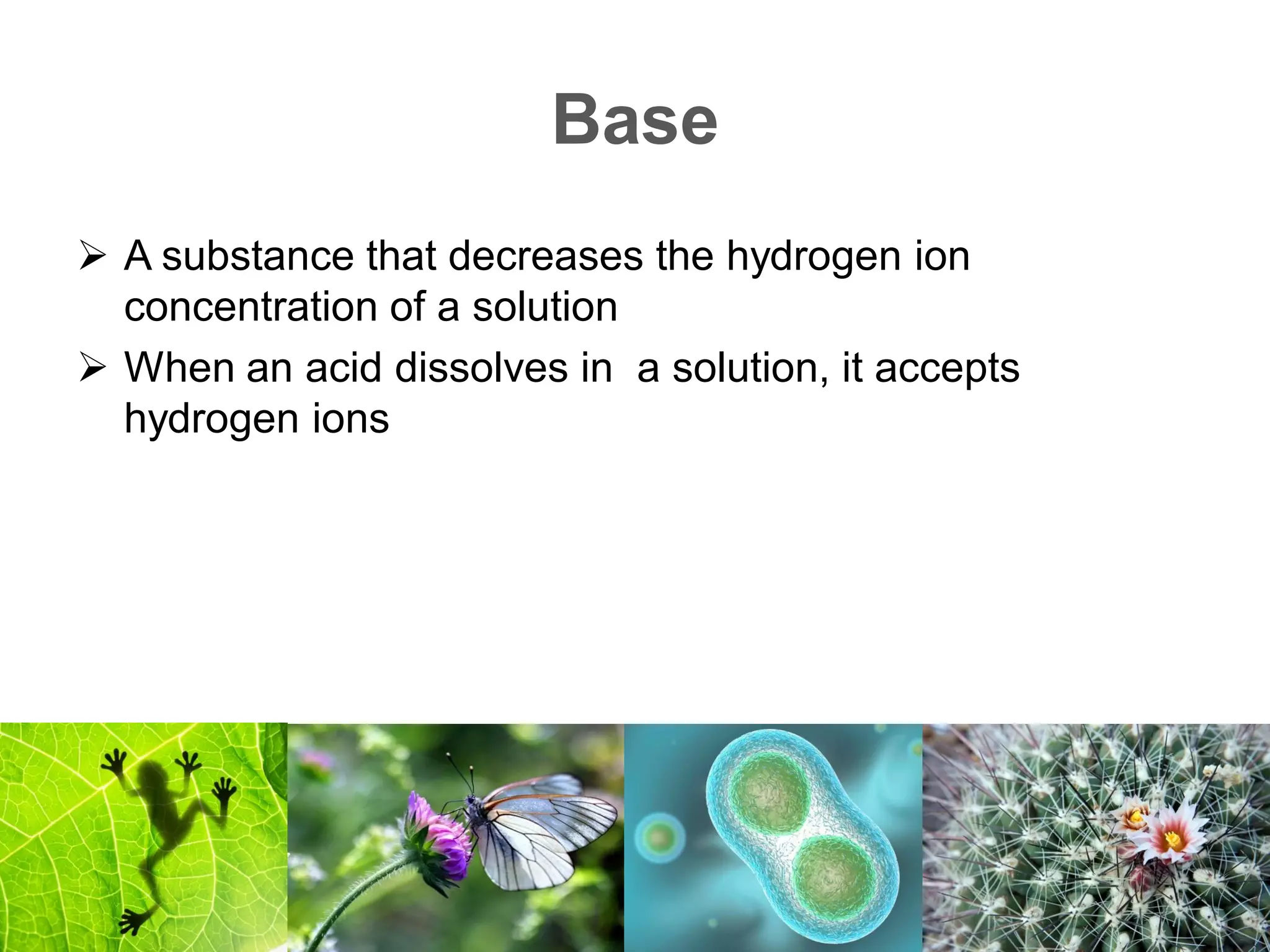 Lesson 8 Introduction to Biological Molecules | PDF
