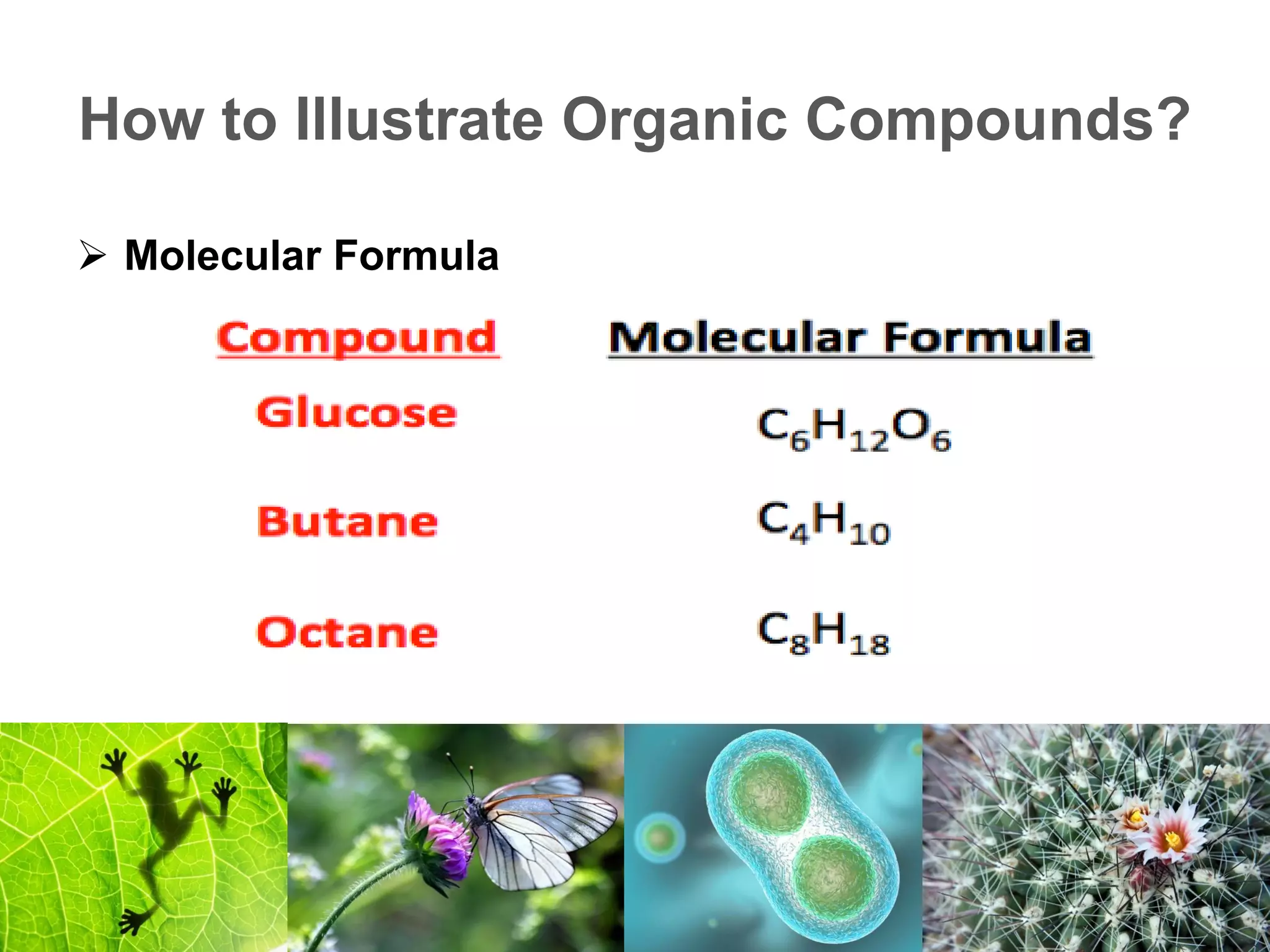 Lesson 8 Introduction to Biological Molecules | PDF