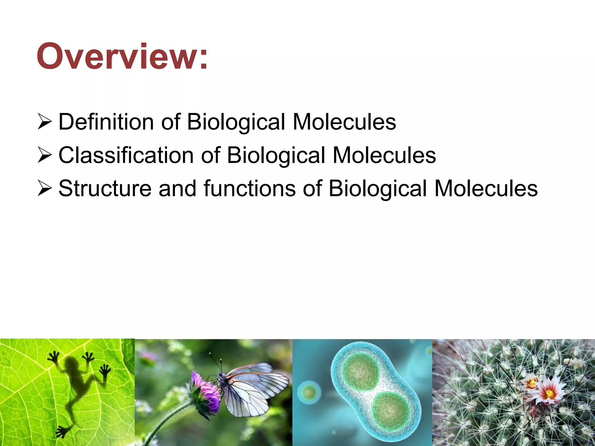 Lesson 8 Introduction to Biological Molecules | PDF