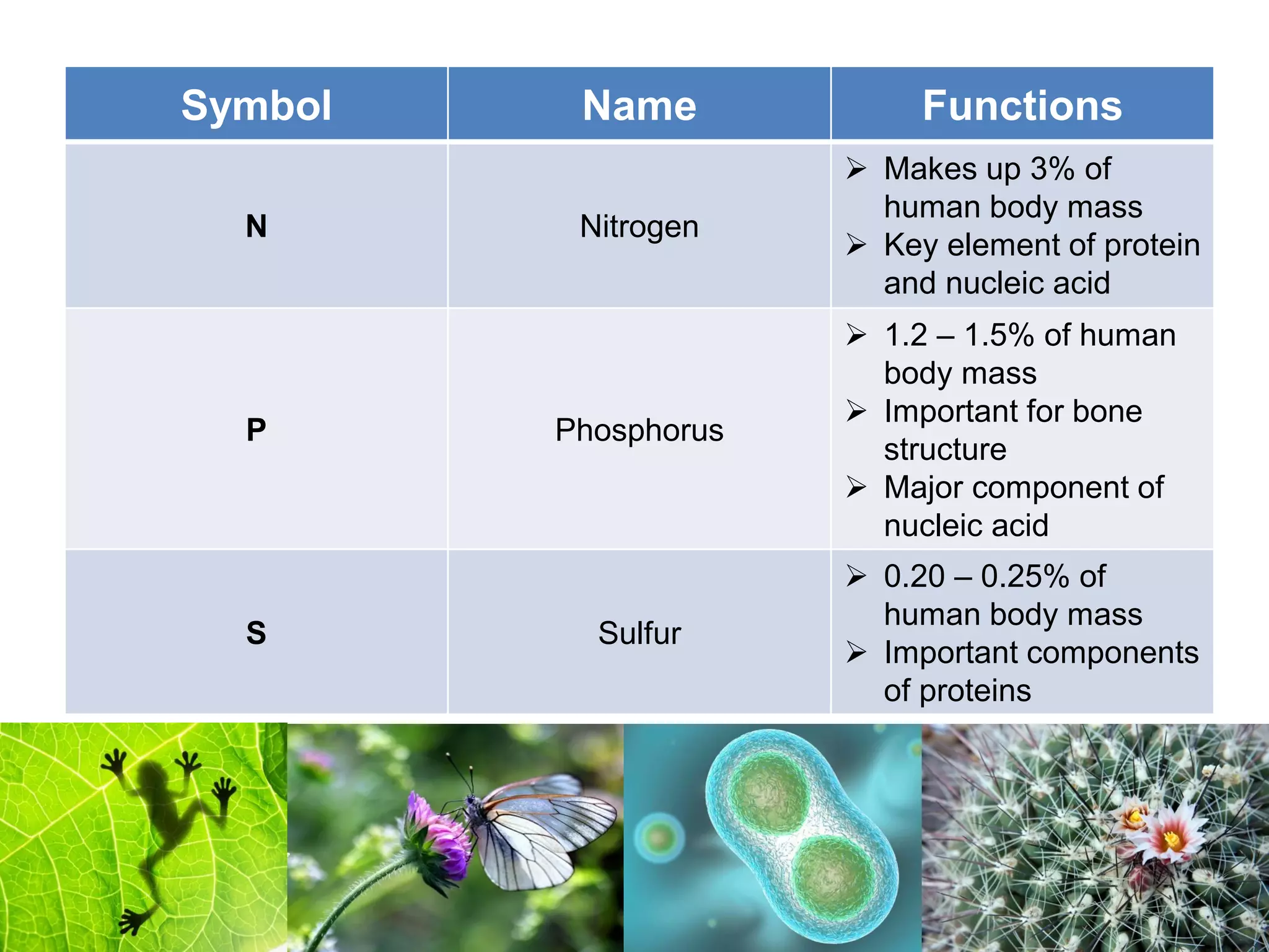 Lesson 8 Introduction to Biological Molecules | PDF