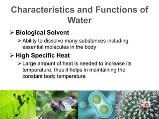 Lesson 8 Introduction to Biological Molecules | PDF