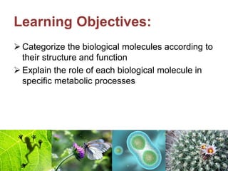 Lesson 8 Introduction to Biological Molecules | PDF