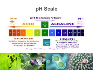 Lesson 8 Introduction to Biological Molecules | PDF