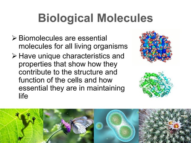 Lesson 8 Introduction to Biological Molecules | PDF | Chemistry | Science