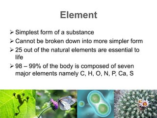 Lesson 8 Introduction to Biological Molecules | PDF