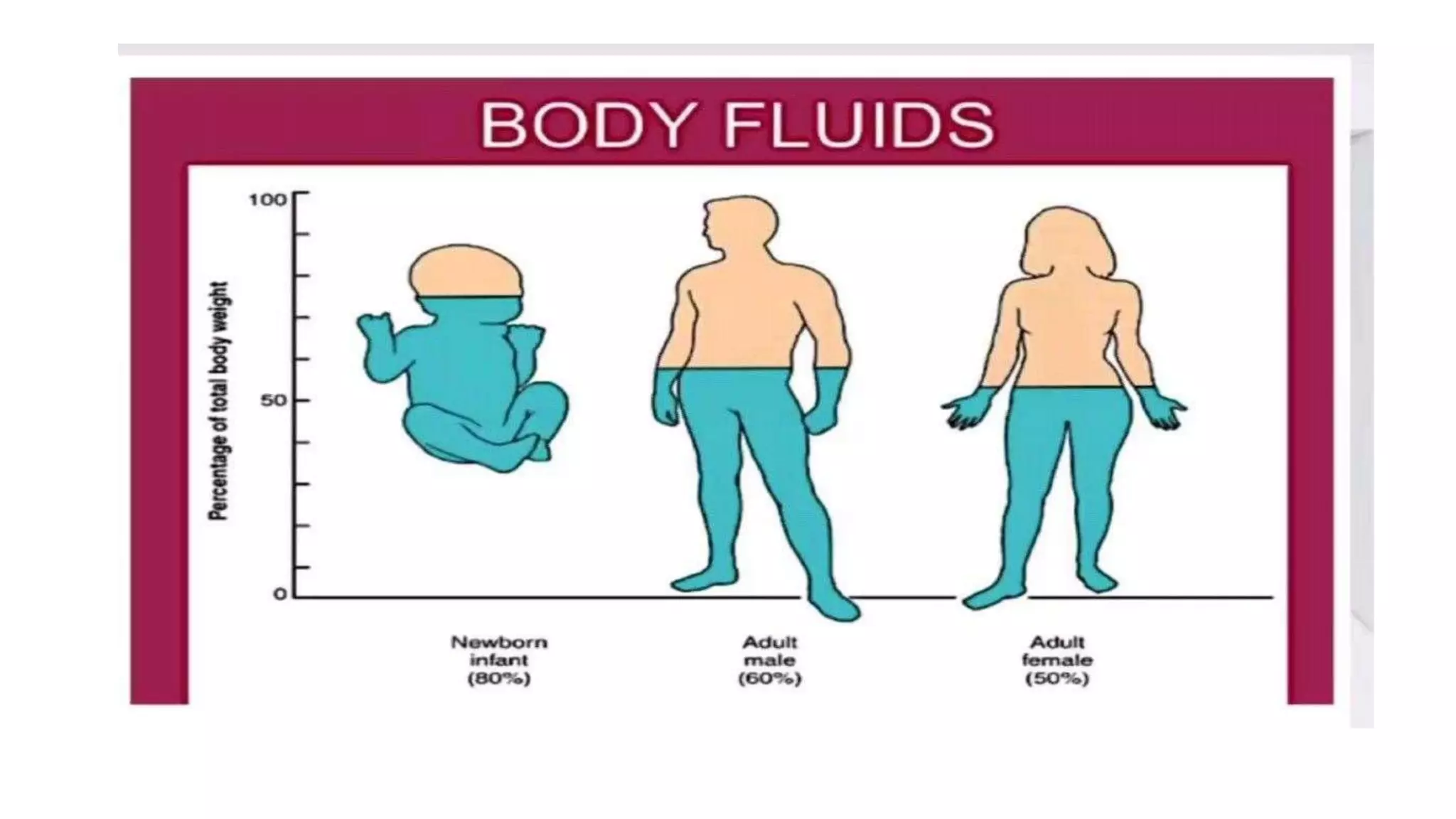 Lesson 8 BODY FLUIDS.pptx