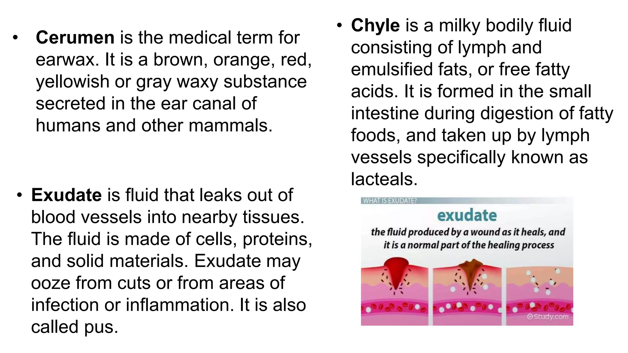 Lesson 8 BODY FLUIDS.pptx
