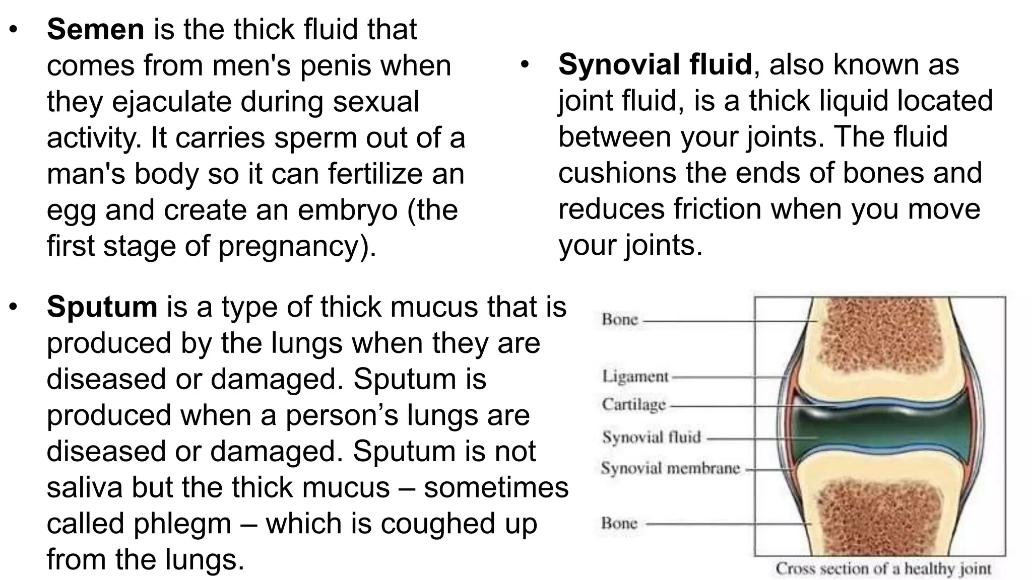 Lesson 8 BODY FLUIDS.pptx