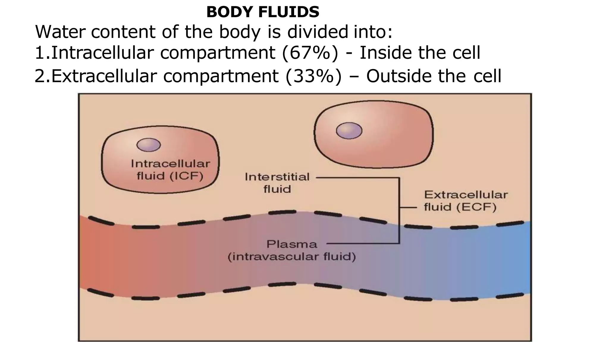 Lesson 8 BODY FLUIDS.pptx