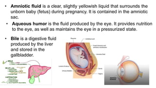 Lesson 8 BODY FLUIDS.pptx