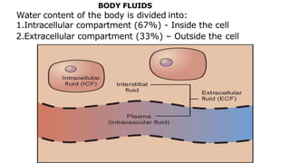 Lesson 8 BODY FLUIDS.pptx