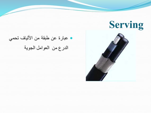 Lesson 8 cables web | PPSX