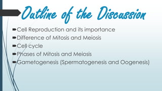 Lesson 8 cell division | PDF