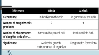 Lesson 8 cell division | PDF