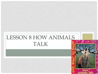 Lesson 8 how animals talk | PPT