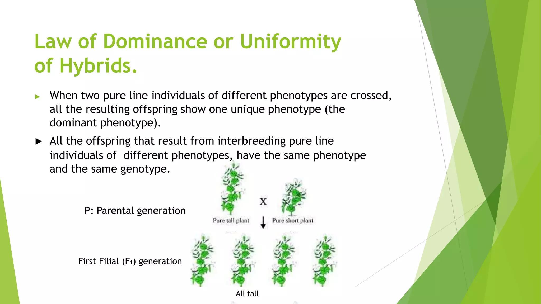 lesson8mendelianinheritance-140723025412-phpapp01.pptx