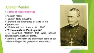 lesson8mendelianinheritance-140723025412-phpapp01.pptx