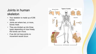Body Movements | PPTX