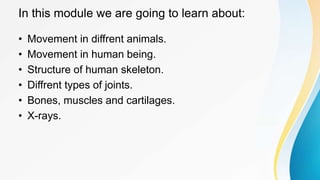 Body Movements | PPTX