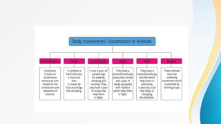 Body Movements | PPT