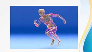 Body Movements | PPTX