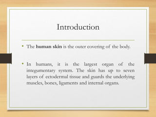 LessLesson 9Lesson 9Lesson 9Lesson 9Lesson 9on 9.pptx