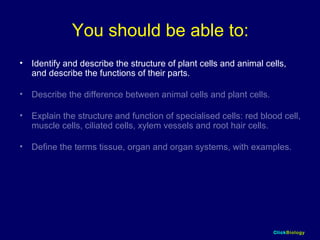 Lesson 9 cells | PPT