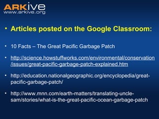 Pacific Garbage Patch Google Earth