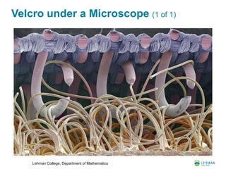 Lesson 9: Linear Relations and Lines | PPTX
